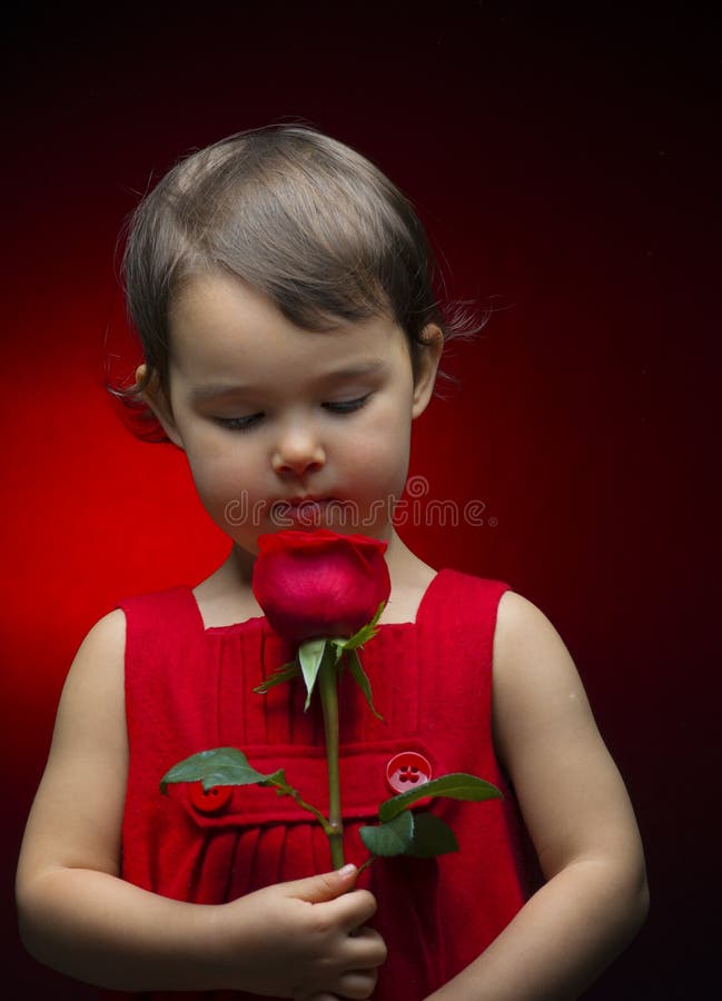 Little Girl Holding Rose on Red Stock Photo - Image of beautiful ...