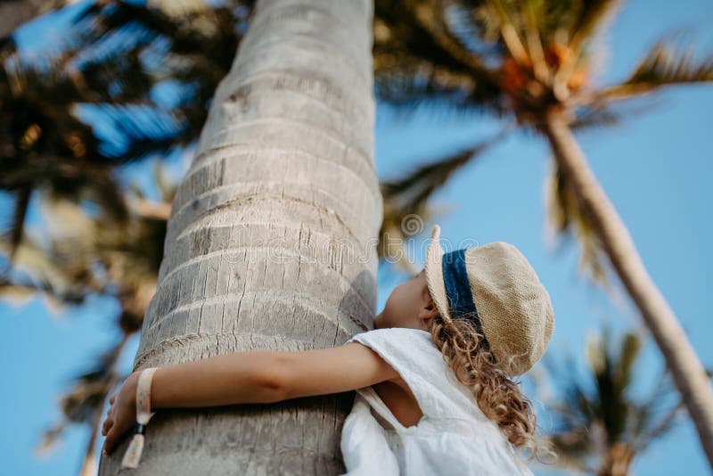Little Girl Hugging Palm Tree during Tropical Vacation. Stock Photo ...