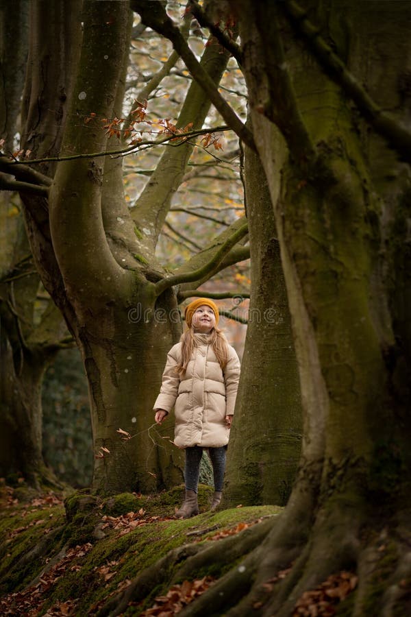 Little Girl in Large Trees in the Forest. Beeches Stock Image - Image ...