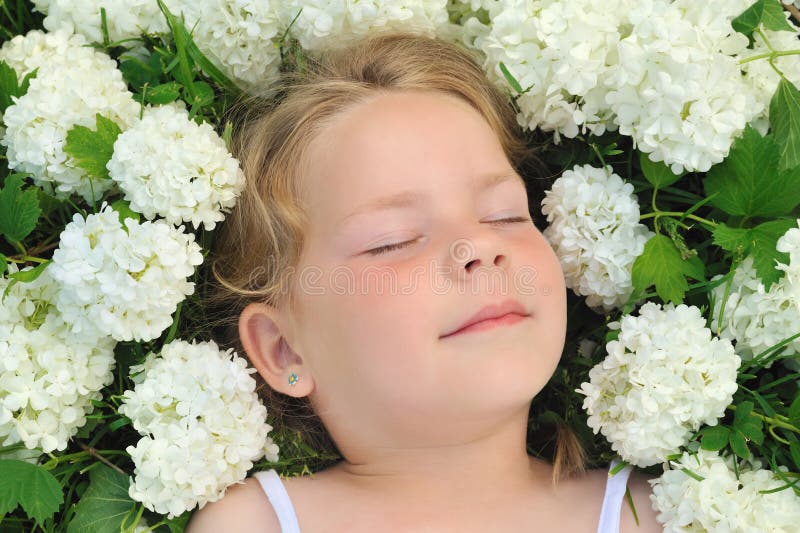 Little Girl Laying in Flowers Stock Photo - Image of blossom, happiness ...
