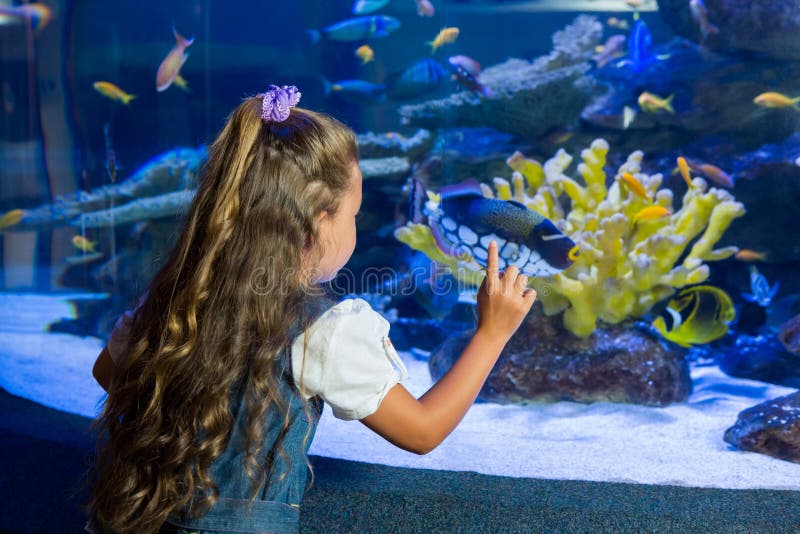 Little Girl Looking at Fish Tank Stock Image - Image of child, finger ...