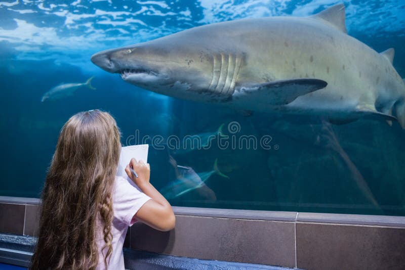 Little Girl Looking at Fish Tank Stock Photo - Image of watching ...