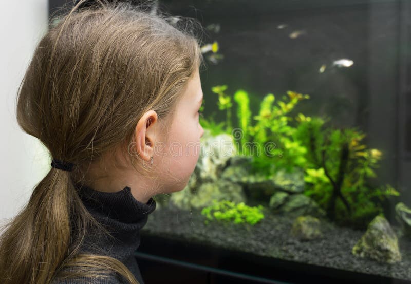 Little Girl Looks at the Fish Stock Image - Image of cute, freshwater ...