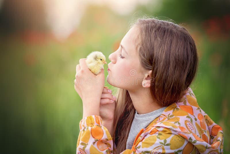 Little Girl Playing with Chicken Stock Image - Image of grass, kids ...