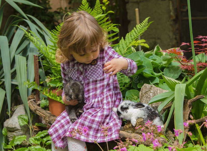 Little girl and rabbits stock photo. Image of people - 71200164