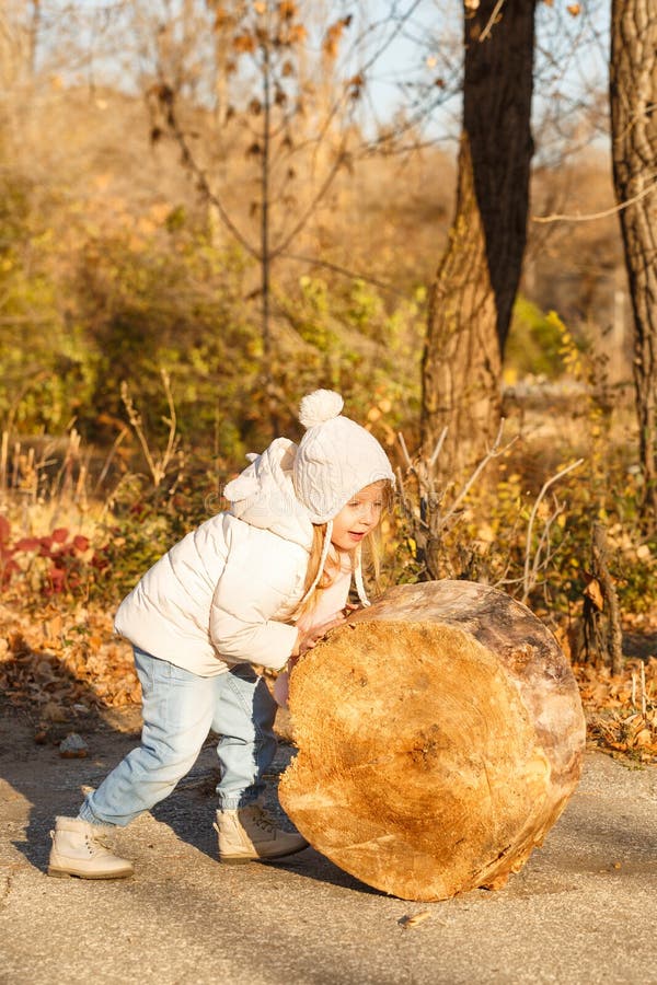 Little Girl Rolls the Trunk of a Tree in Autumn Park. Stock Image ...