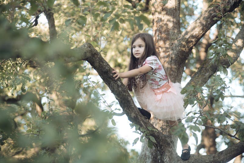 Little girl sit on tree stock photo. Image of beautiful - 118391172