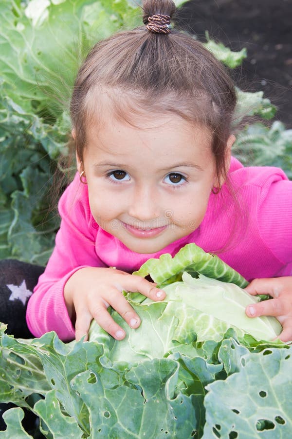 Little Girl Sits in Cabbage in the Garden Stock Image - Image of girl ...