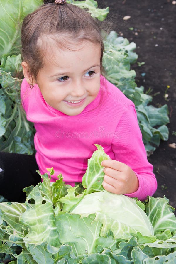 Little Girl Sits in Cabbage in the Garden Stock Image - Image of garden ...