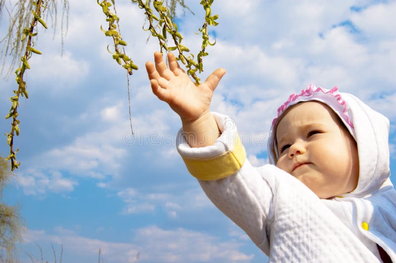 Little Girl Touching Green Buds Stock Photo - Image of infant, white ...