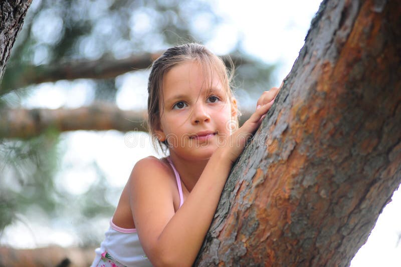 The little girl on a tree stock photo. Image of climbing - 15451634