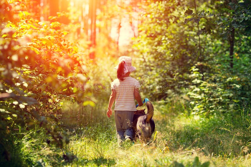 Little Girl Walking with Dog in the Forest Stock Photo - Image of park ...