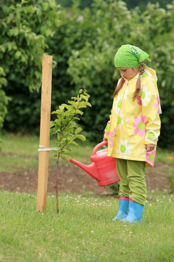 Little Girl Watering Apple Tree Stock Photo - Image of active, care ...