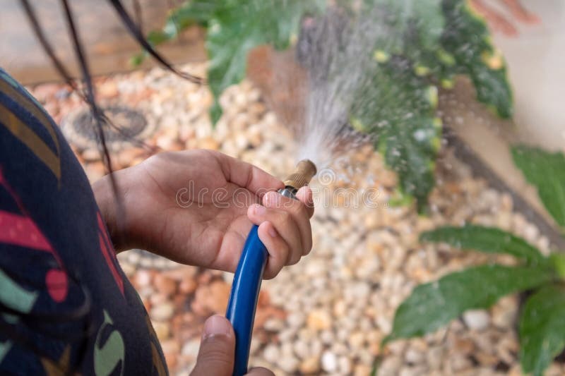 A Little Girl Watering the Plants in Front of the House Using a Water ...