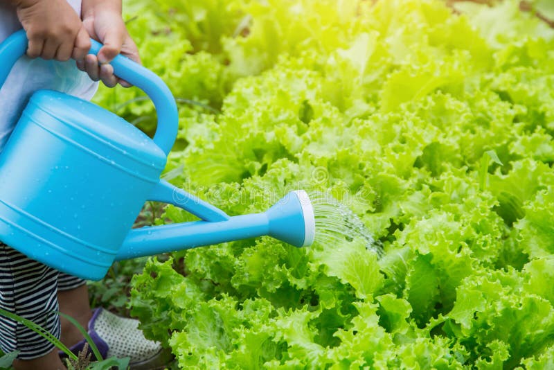 Little Girl Watering Tree with Watering Pot Stock Image - Image of ...