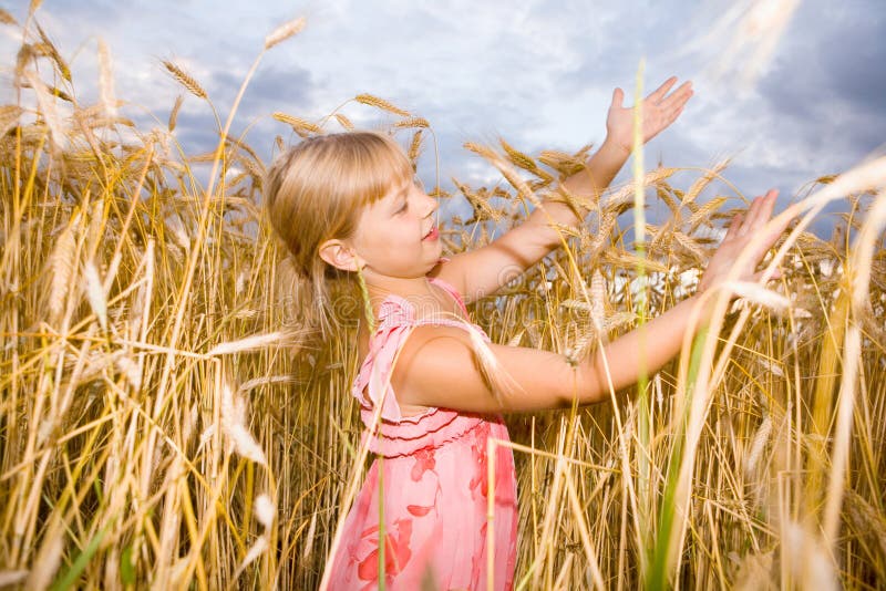 Littel Girl in a Wheat Field Stock Image - Image of cultivate, crop ...