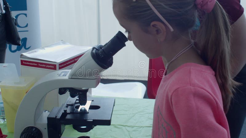 Little Girls Learning Science at the Microscope Stock Footage - Video ...