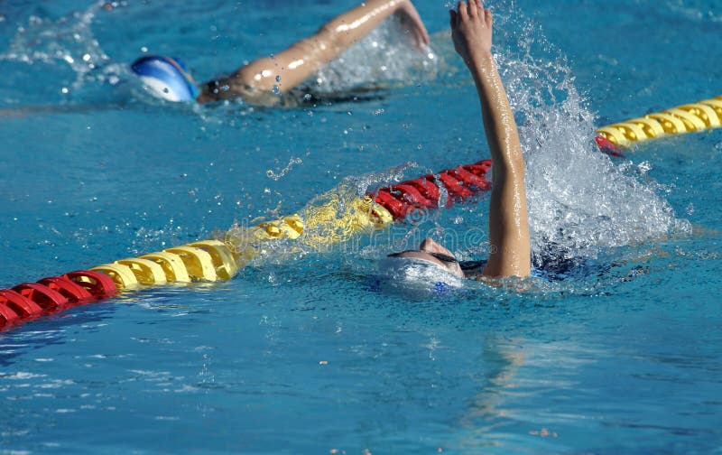 Little Girls Swimming Backstroke Stock Photo - Image of children ...