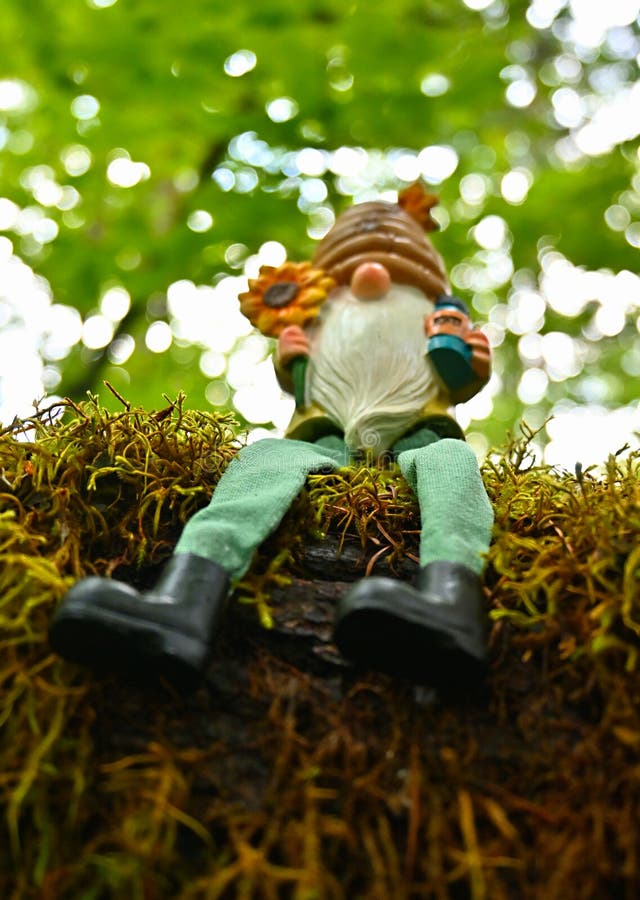 Gnome stock photo. Image of little, dramatic, fairy - 230942442
