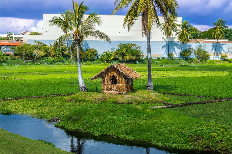 Little Grass Shack stock photo. Image of grass, watercress - 39975452