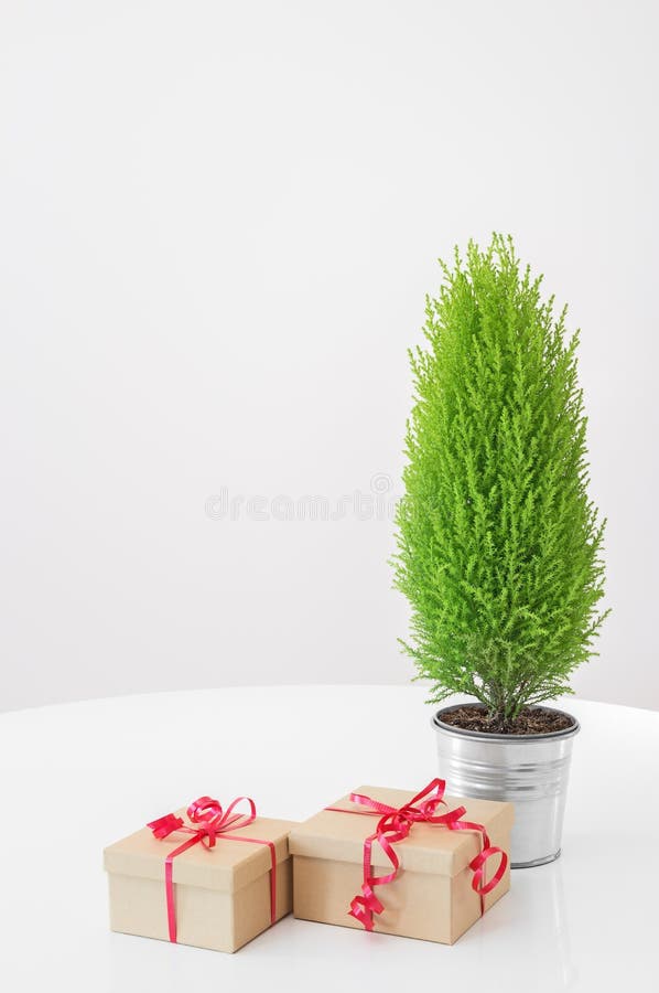 Little Green Tree and Gifts with Red Ribbons Stock Photo - Image of ...