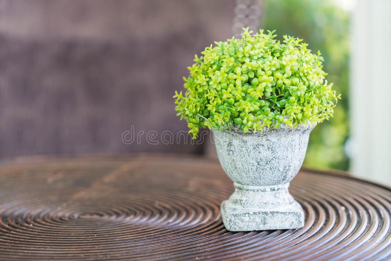 Little Green Tree Pots Decoration Stock Image - Image of flowet, happy ...