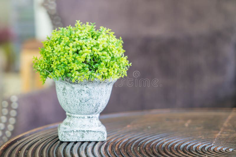 Little Green Tree Pots Decoration Stock Photo - Image of decoration ...