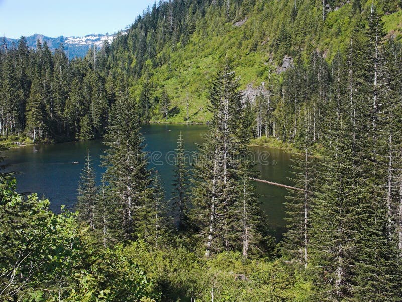 TJ Lake stock image. Image of serene, nature, sierra - 50836181