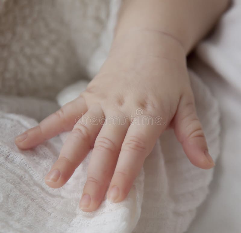 Little hand stock image. Image of birth, nursing, parenthood - 11964091