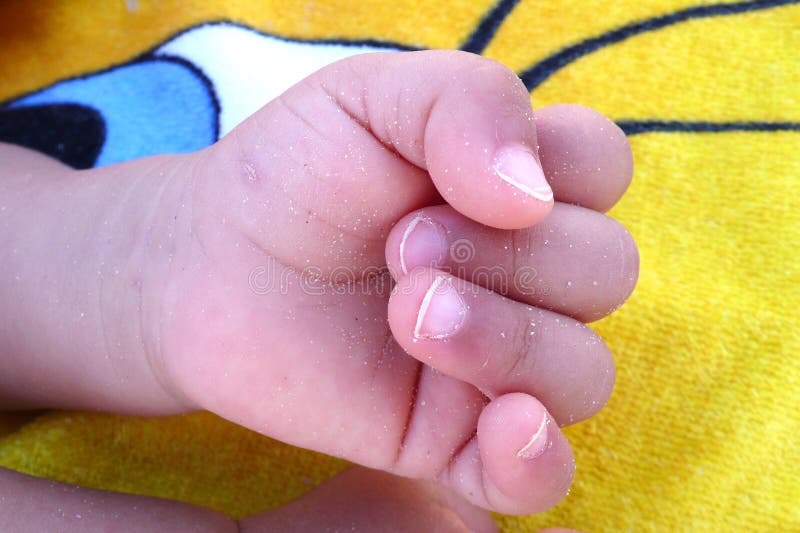 Little Hand Picture. Image: 3827646