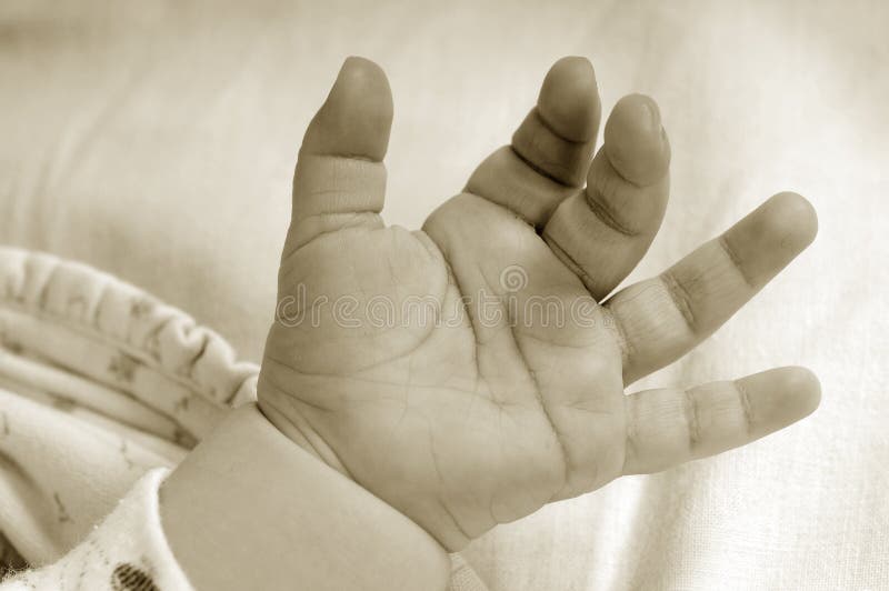 Hands stock photo. Image of woman, hands, people, caring - 79486