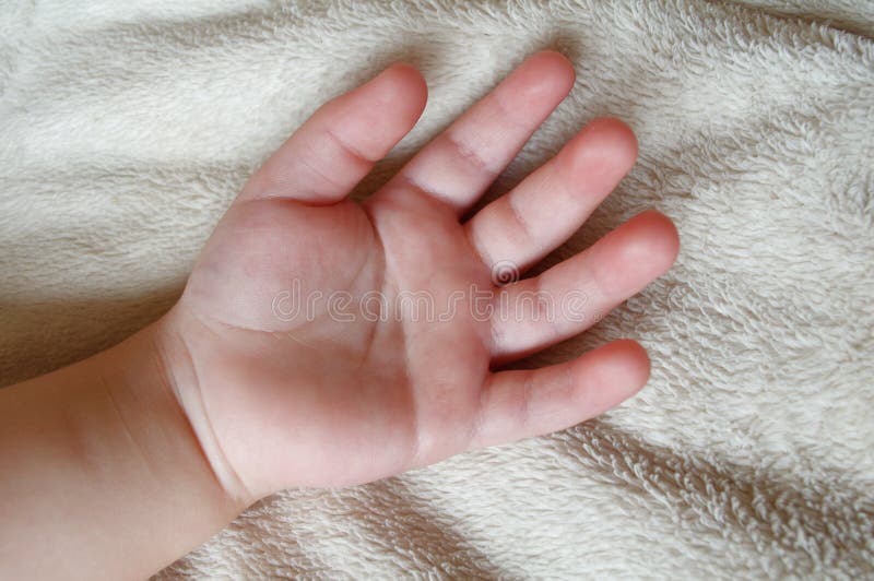 Little hand stock image. Image of holding, adopting, fingers - 7933043