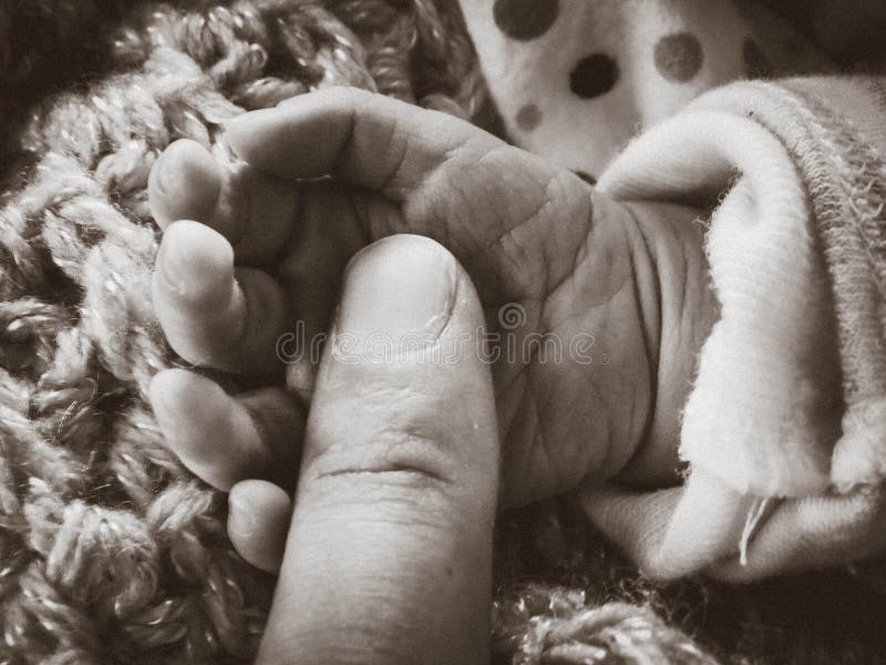 Little hand stock image. Image of finger, hand, baby - 96585463