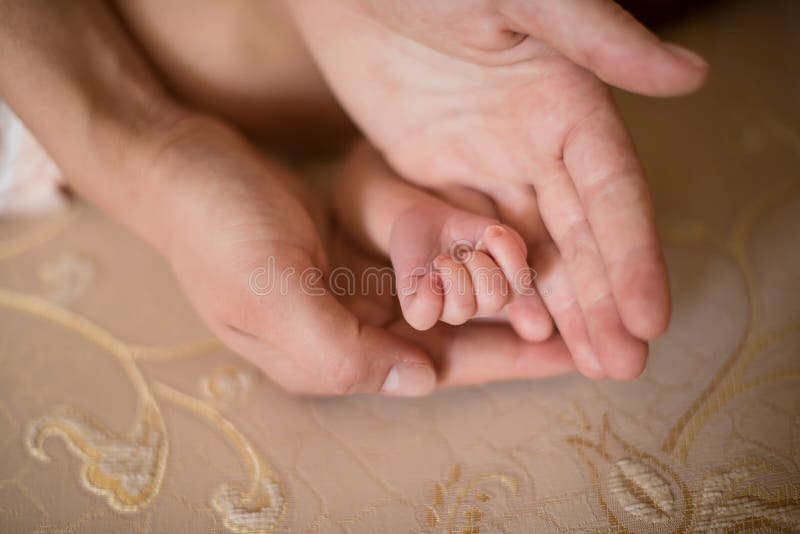 Little hand stock photo. Image of childhood, little, born - 57606440