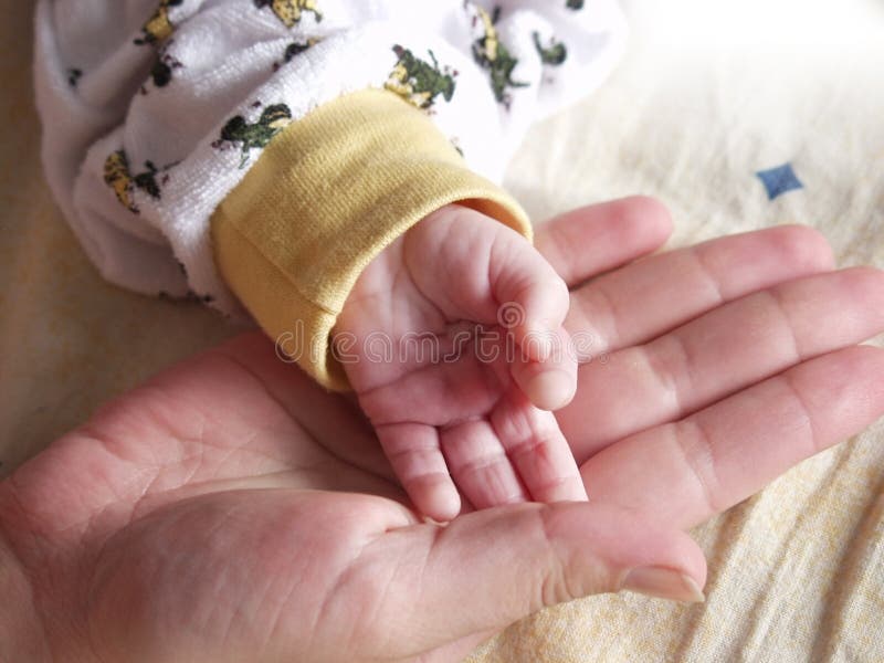 Little hand, big hand stock image. Image of social, mother - 37243