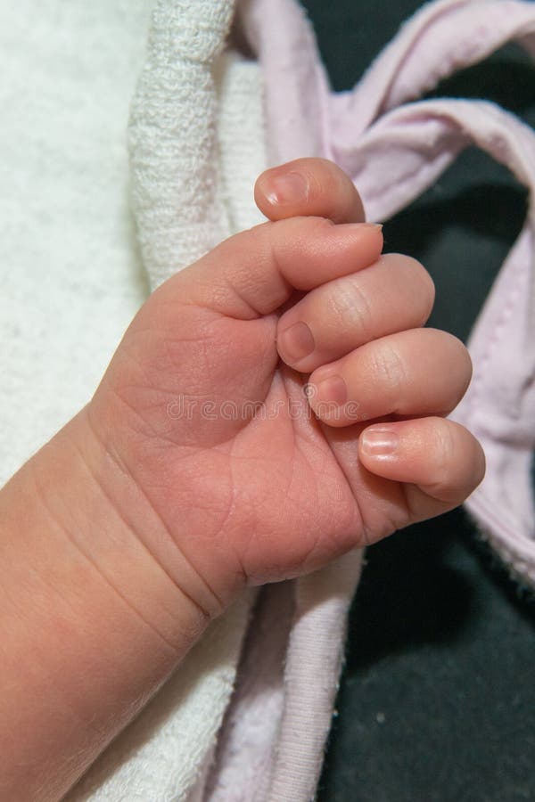Little Hand of Newborn Baby Stock Image - Image of language, group ...