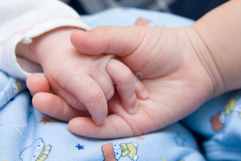 Little hands stock photo. Image of brothers, newborn, little - 3977606
