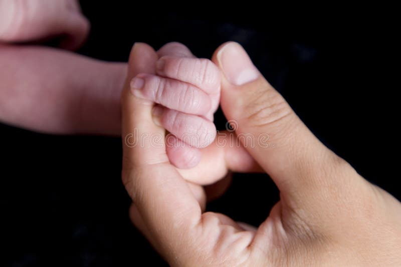 Little hands stock photo. Image of young, daughter, mother - 6768580