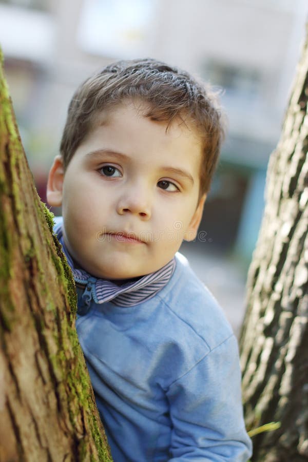 Little Handsome Boy in Blue Stands among Trees Stock Image - Image of ...