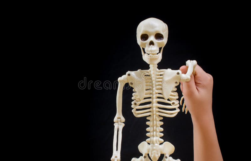 Little Happy Boy Holding a Small Size Fake Skeleton in Hand Stock Image ...