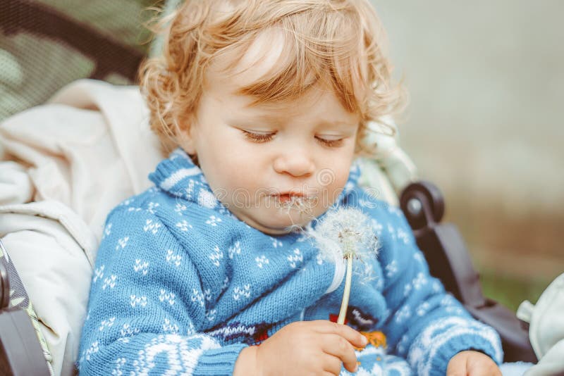 Little Happy Boy Sitting in a Stroller Stock Photo - Image of carriage ...