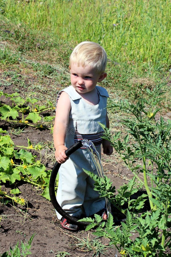 Little helper stock image. Image of beds, green, assistant - 25528833