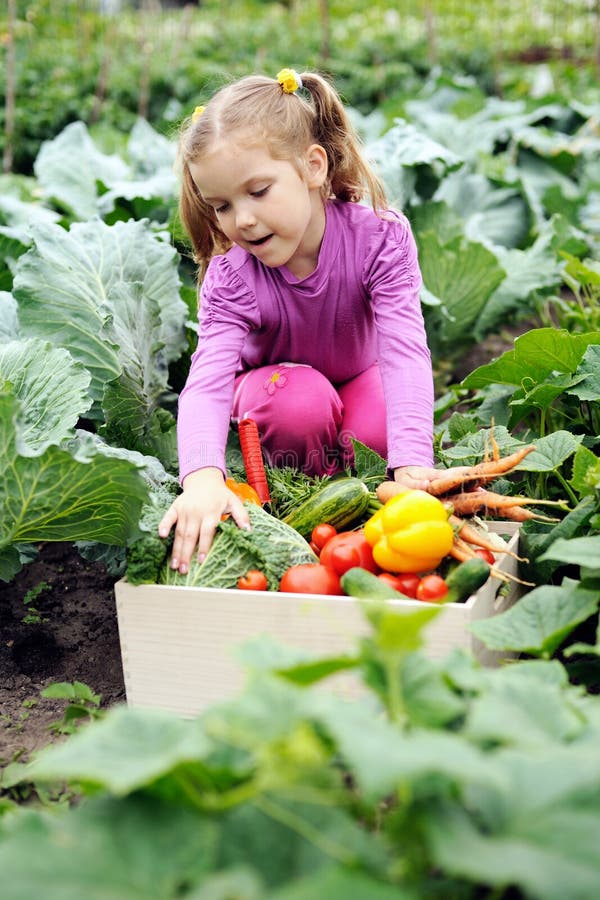 Little helper stock image. Image of kitchen, cucumber - 25759175