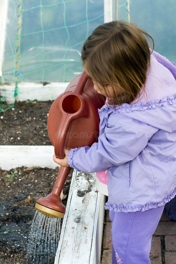 New sprout stock photo. Image of macro, beginnings, environmental - 6954592