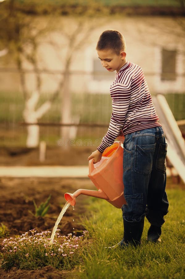 Little Helper Watering Flowers in the Garden Stock Image - Image of ...