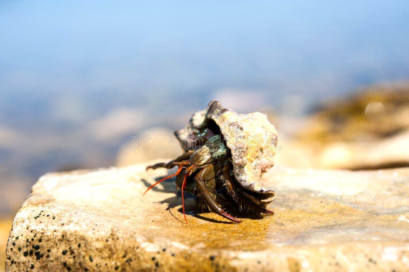 Stone Hermit Statue in a Cave, Taiwan Stock Image - Image of water ...