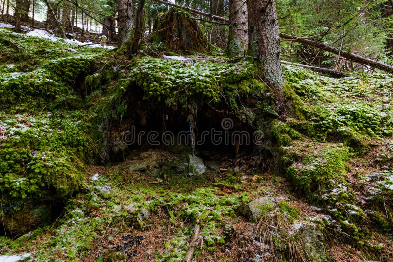 Little hole in the forest stock image. Image of snow - 105912011