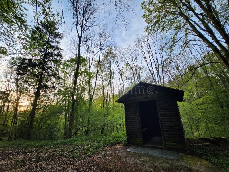 Little House Alone in the Forest. Dark House in the Sunset. Tall Green ...