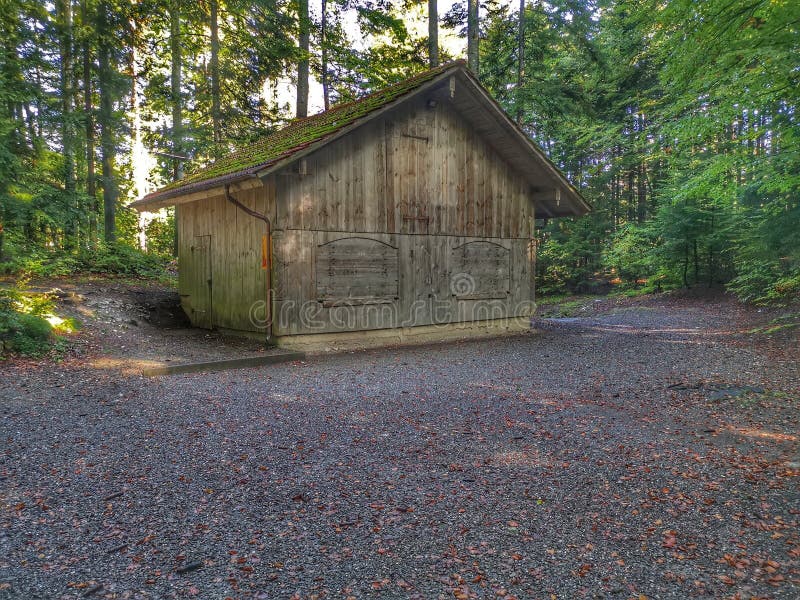 A Little House in the Forest Stock Image - Image of woodland, forest ...