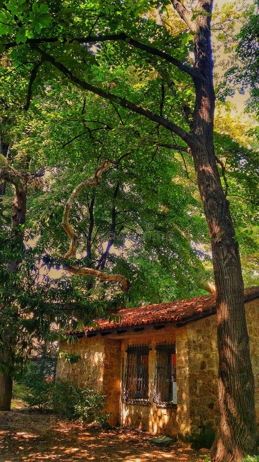 Little House at the Forest! Stock Photo - Image of nature, adventure ...